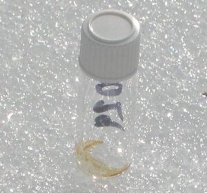 NASA Scientists Study Life Origins By Simulating a Cosmic Evolution ...