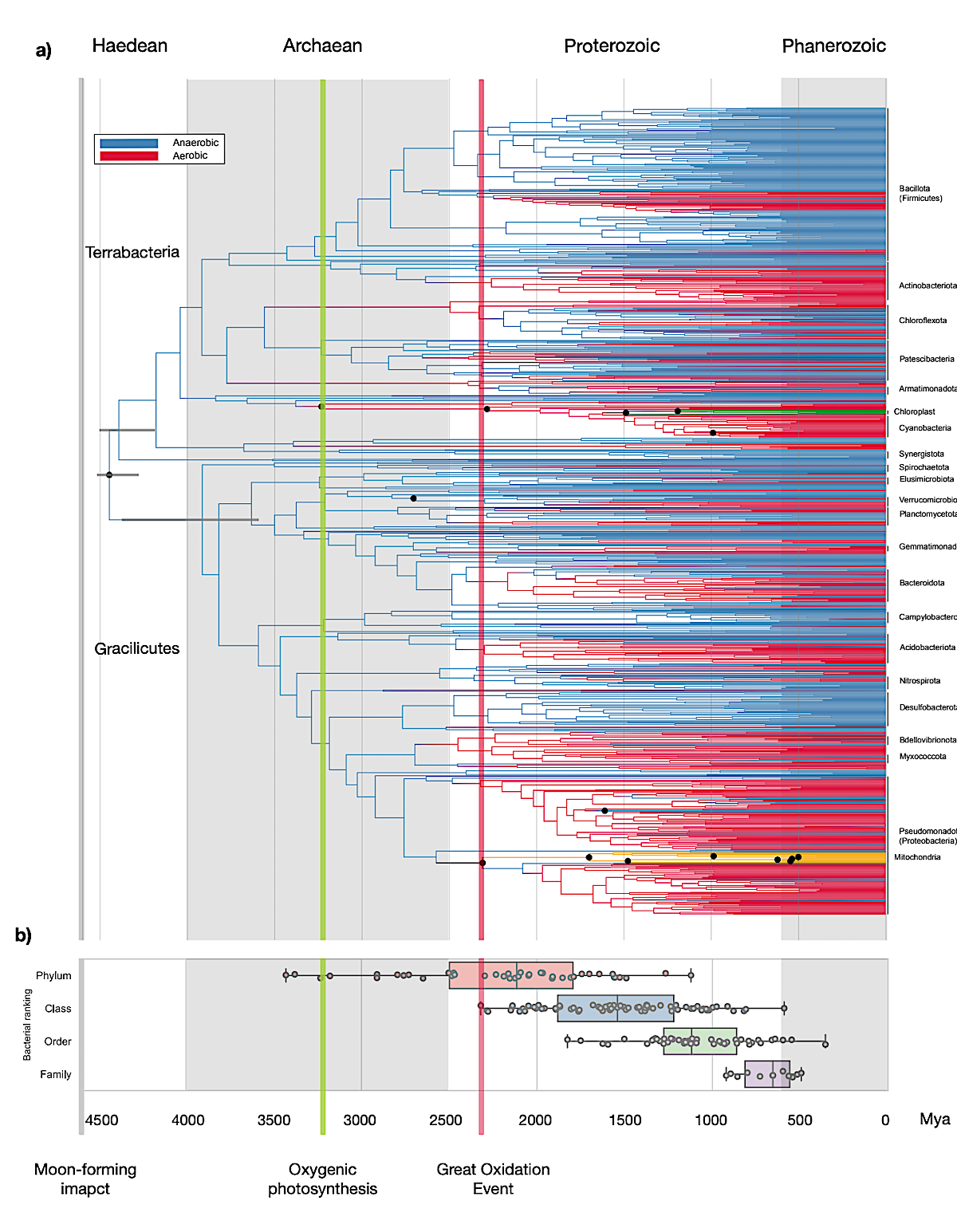 An Evolutionary Timescale For Bacteria Calibrated Using The Great ...