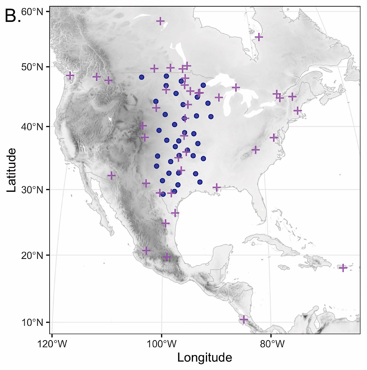Space Weather From Our Local Star Disrupts Nocturnal Bird Migration On ...