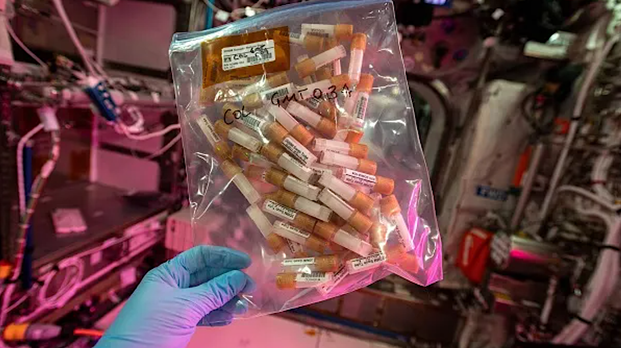 Timeline Of DNA Sequencing Technology On The International Space ...