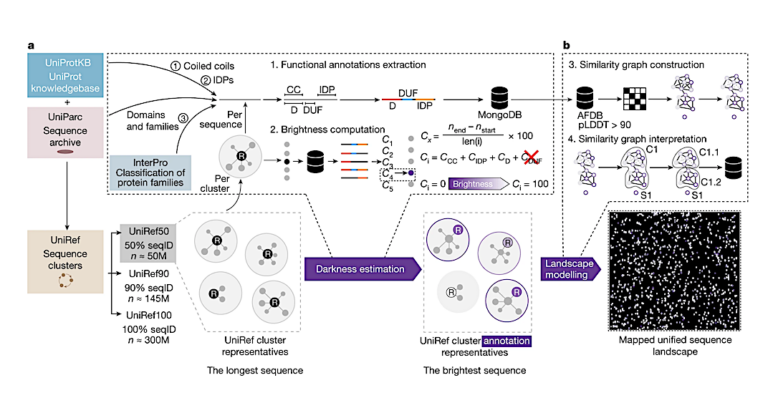 Artificial Intelligence Tools Shed Light On Millions Of Proteins ...