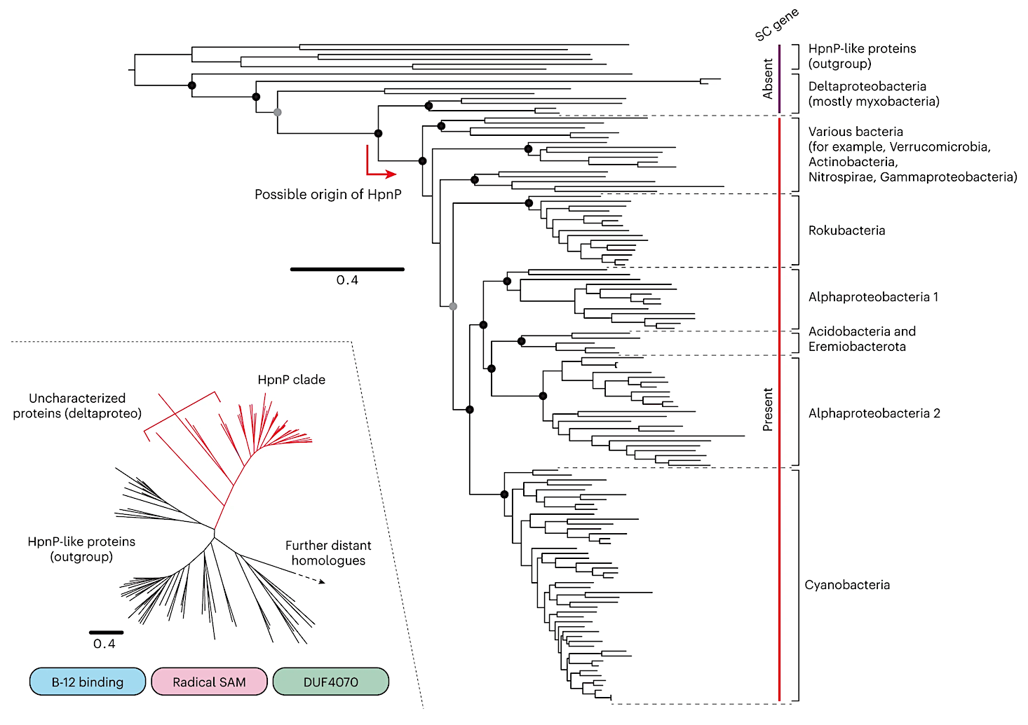 Tricorder Tech: Genetic Methods Enable The Use Of Fossil Lipids As ...