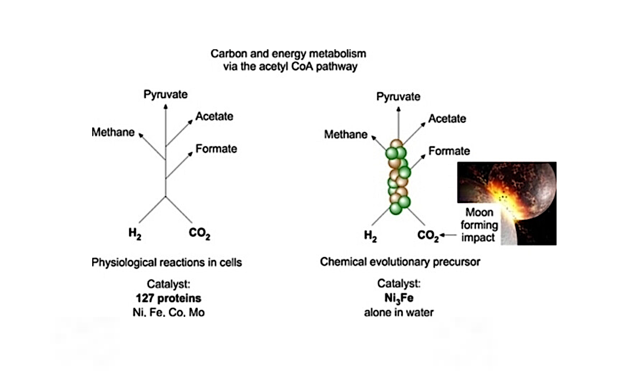 The Moon-Forming Impact and the Autotrophic Origin of Life - Astrobiology