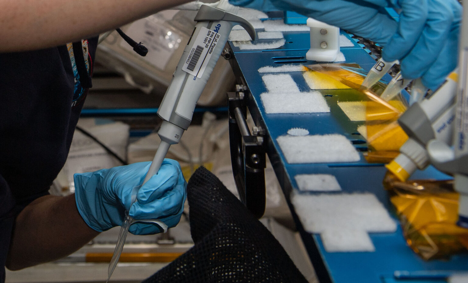 Offworld Life Science: Sequencing DNA Samples On ISS For The BioMole ...