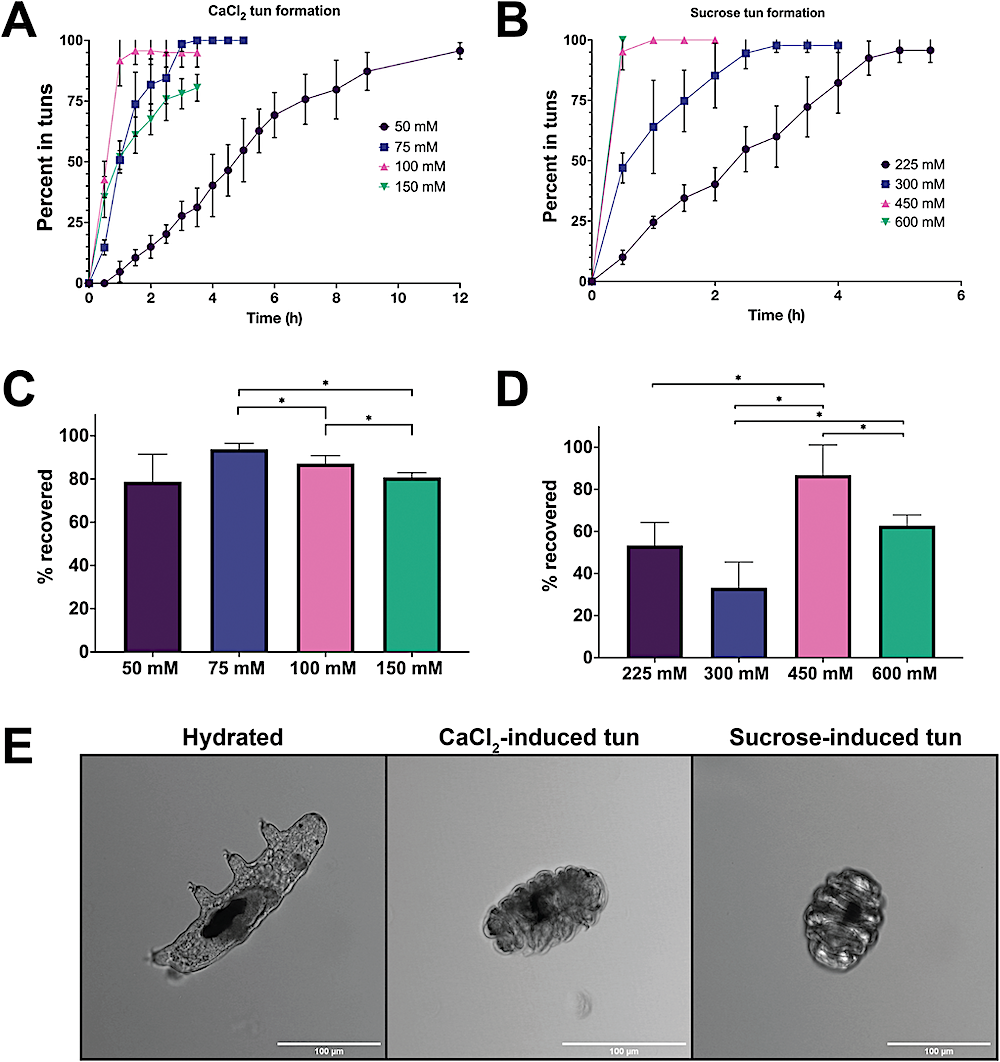 Molecular Sensor Enables Water Bear Hardiness By Triggering Dormancy