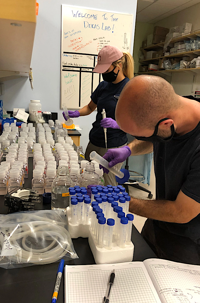 New Research On Microbes Expands The Known Limits For Life On Earth And ...