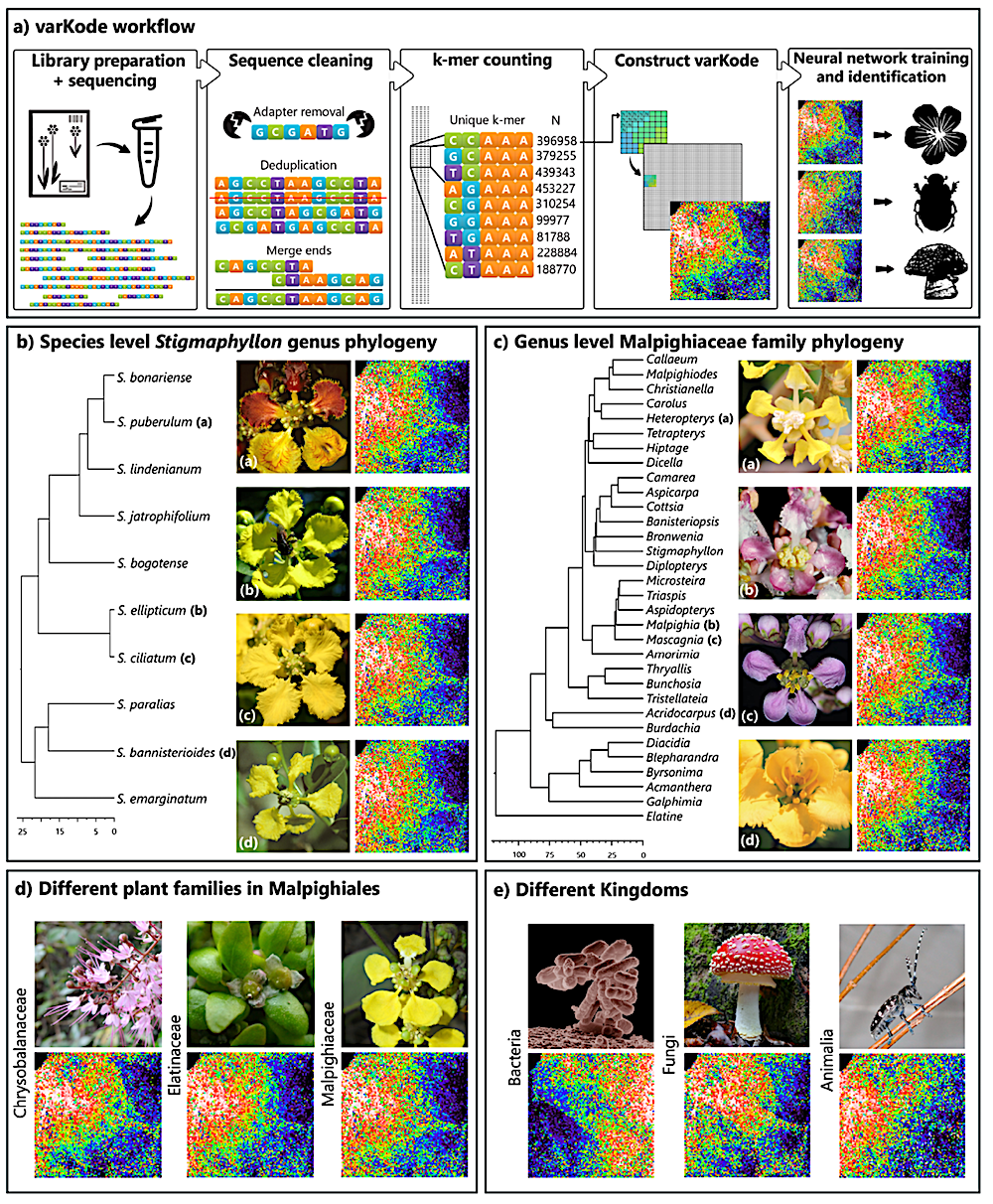 Getting Ready For Offworld Astrobiology Expeditions: A Universal DNA ...