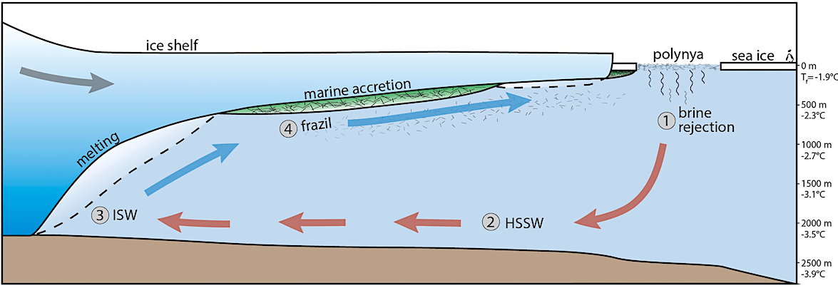 Ice Shell Thickness Reveals Water Temperature On Ocean Worlds ...