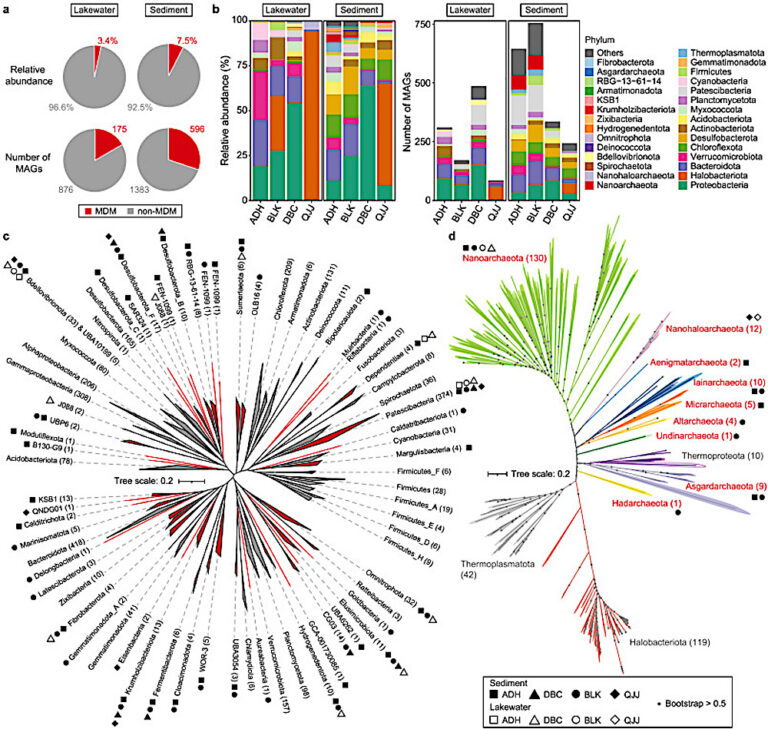 Microbial Wonders In Earth's Saltiest Waters - Astrobiology