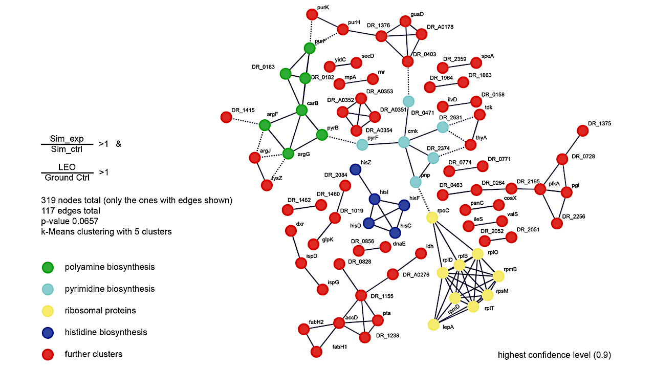 Molecular Repertoire Of Deinococcus Radiodurans After 1 Year Of ...