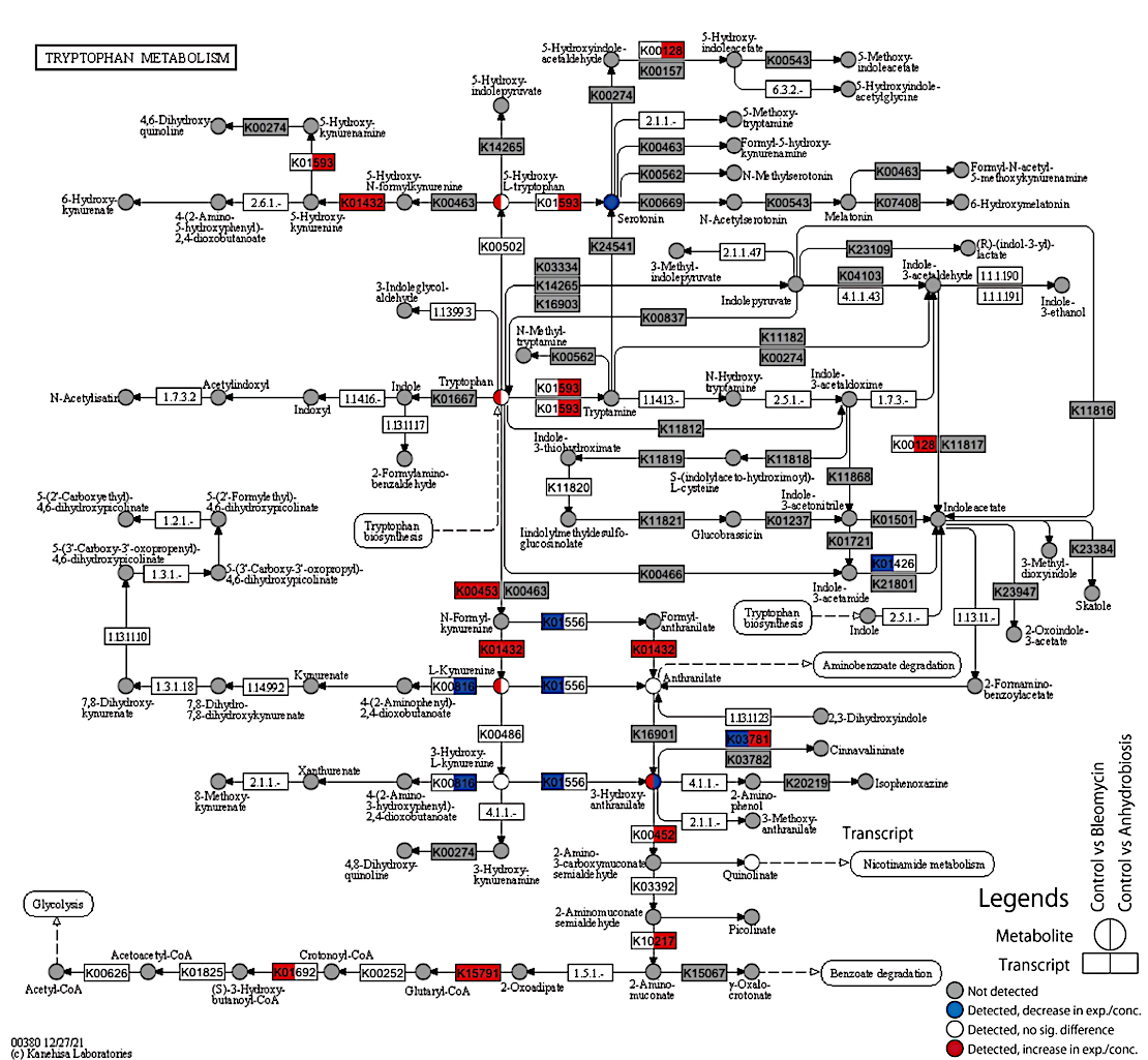 Transcriptome Analysis Of The Tardigrade Hypsibius Exemplaris Exposed ...