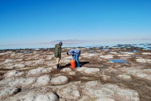 Great Salt Lake’s Imperiled Ecosystem: Microbialites And Nematodes ...