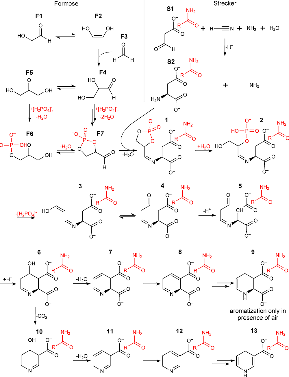 Prebiotic Vitamin B3 Synthesis in Carbonaceous Planetesimals - Astrobiology
