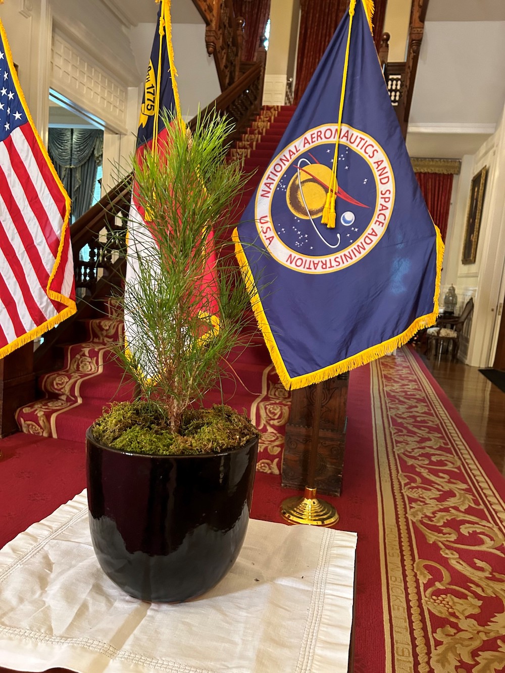 NASA Finds New Homes For The Artemis Generation Of Moon Trees Across ...