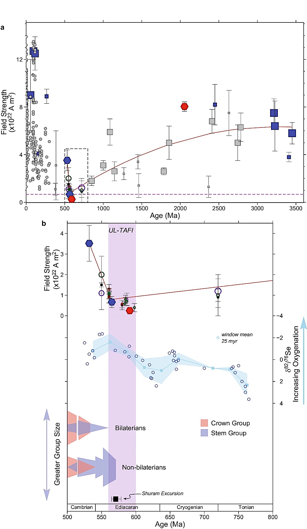 A Weak Magnetic Field May Have Supported The Diversification Of Life On ...