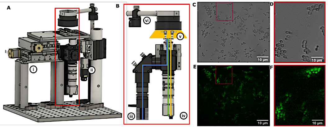 Flight-Scope: Microscopy With Microfluidics In Microgravity - Astrobiology