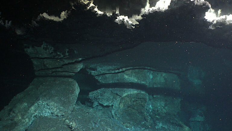 Away Team Update: Exploring Hydrothermal Vents In The Gulf Of ...
