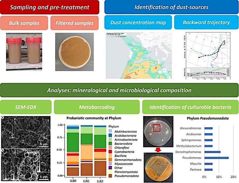 Microbial Composition Of Saharan Dust Plumes Deposited As Red Rain In ...