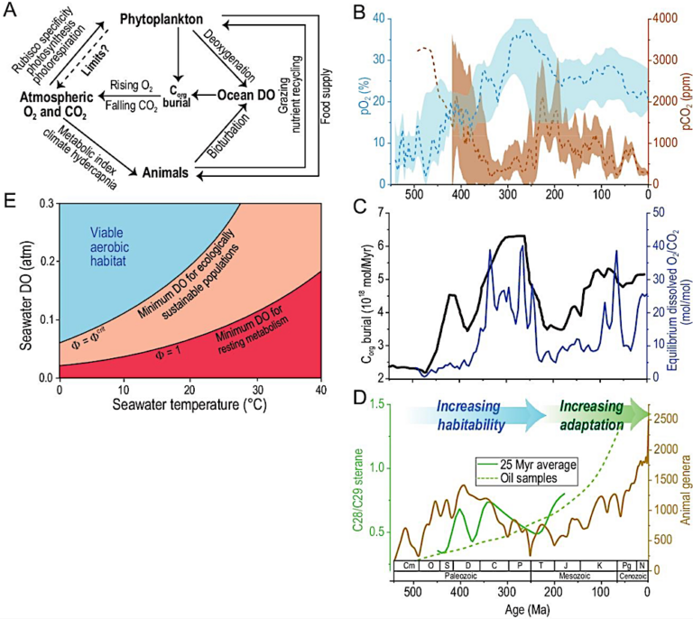 Scientists Untangle Interactions Between Earth’s Early Life Forms And ...