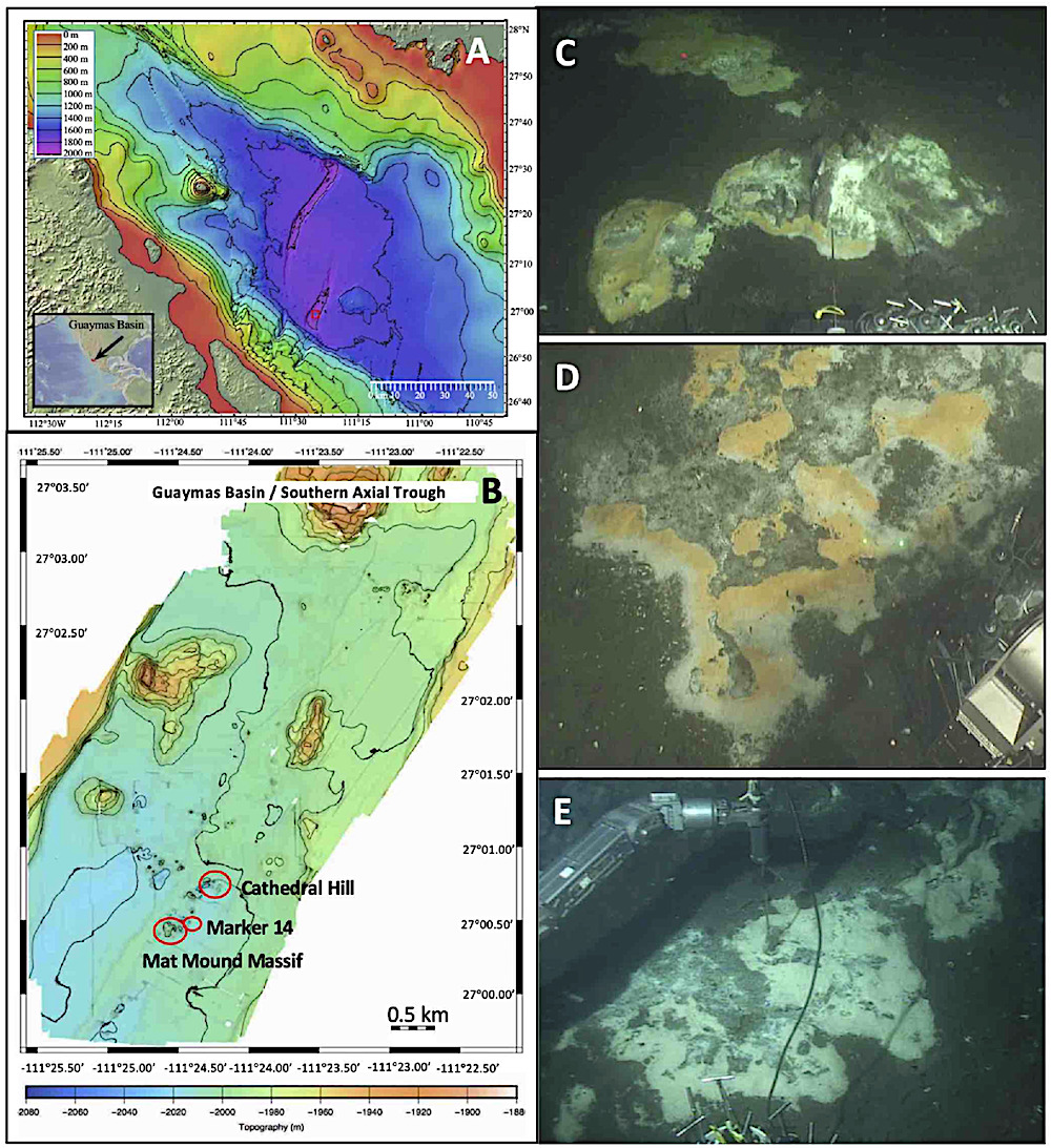 The Guaymas Basin – A Hot Spot For Hydrothermal Generation And ...