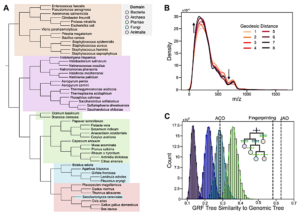 Constructing the Molecular Tree of Life using Assembly Theory and Mass ...