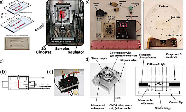 Lab-on-chip Technologies For Space Research — Current Trends and ...