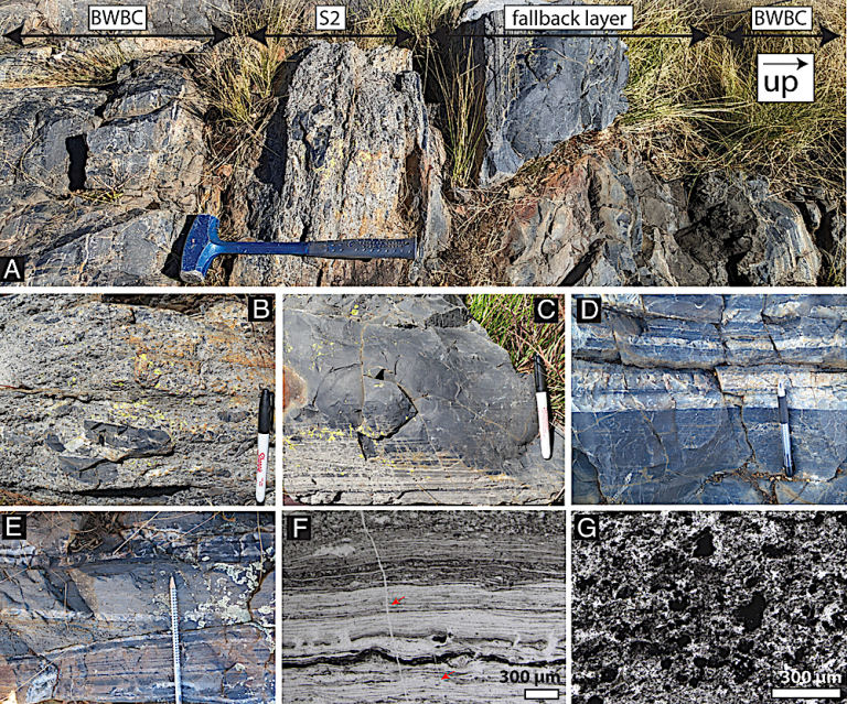 Effect Of A Giant Meteorite Impact On Paleoarchean Surface Environments ...