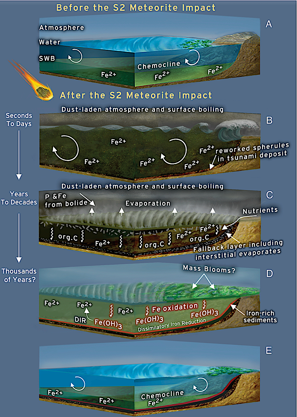 Effect Of A Giant Meteorite Impact On Paleoarchean Surface Environments ...