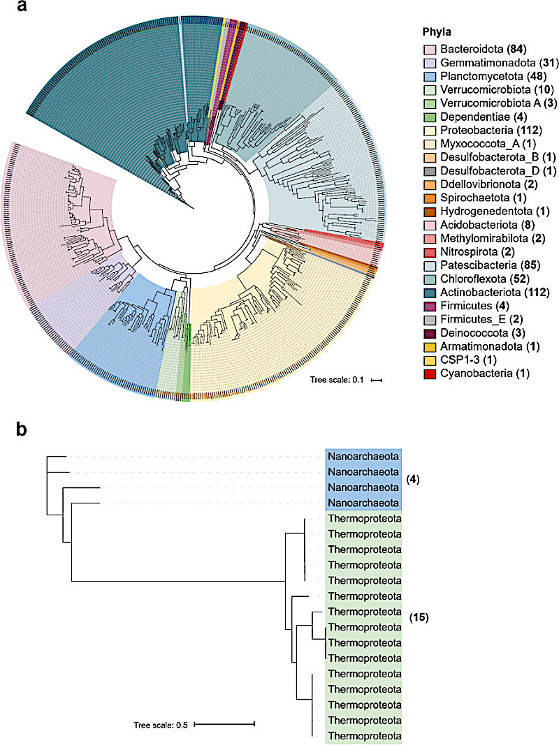 Hyperexpansion of Genetic Diversity and Metabolic Capacity of ...