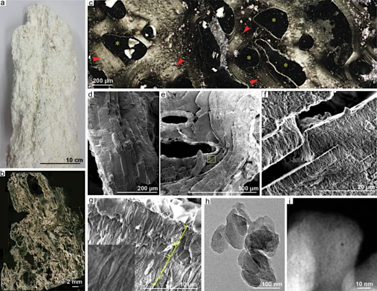 Osmotic Energy Conversion Discovered in Hydrothermal Vents Provides ...