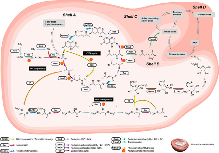 Pinpointing Conditions for a Metabolic Origin of Life: Underlying ...