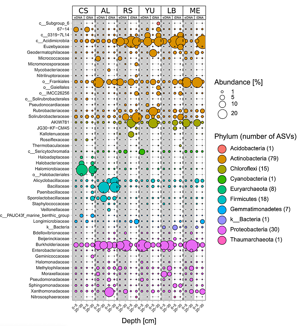 Living Microbes Discovered In Earth’s Driest Desert - Astrobiology