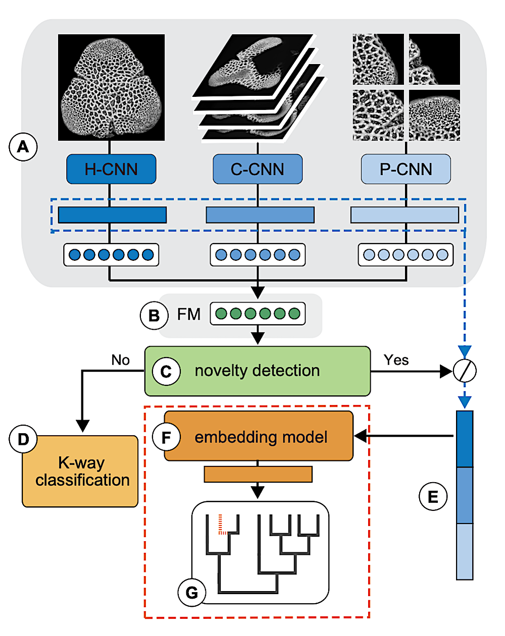 Machine Learning Used To Classify Fossils Of Extinct Pollen Offworld Astrobiology Applications