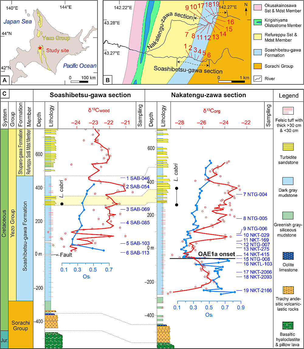 Prehistoric Rock In Japan Reveals Clues To A Major Ocean Anoxic Event ...