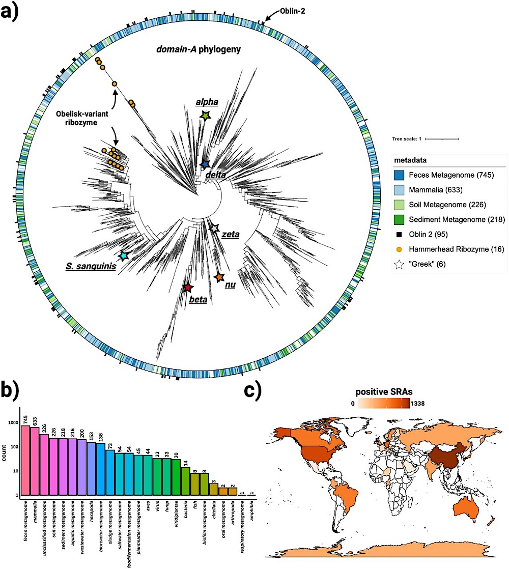 Previously Unknown Life Forms Discovered Within Human Microbiomes ...