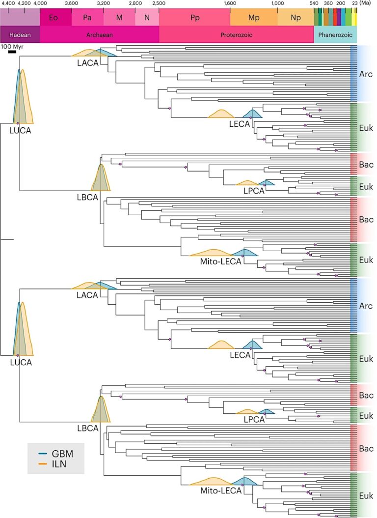 The Nature Of LUCA - The Last Universal Common Ancestor - and its ...