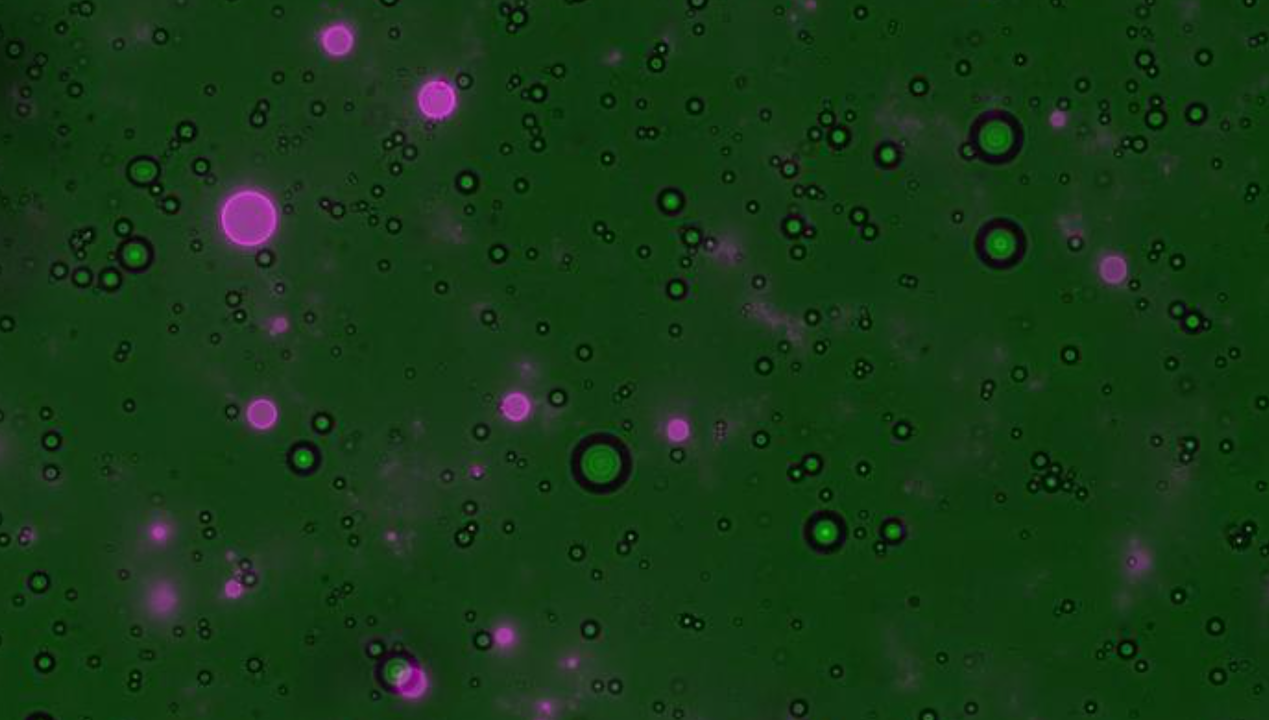 How Lifes Building Blocks Took Shape On Early Earth The Limits Of