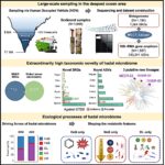 Life Thrives In The Deepest Ocean: New Discoveries From The Mariana ...