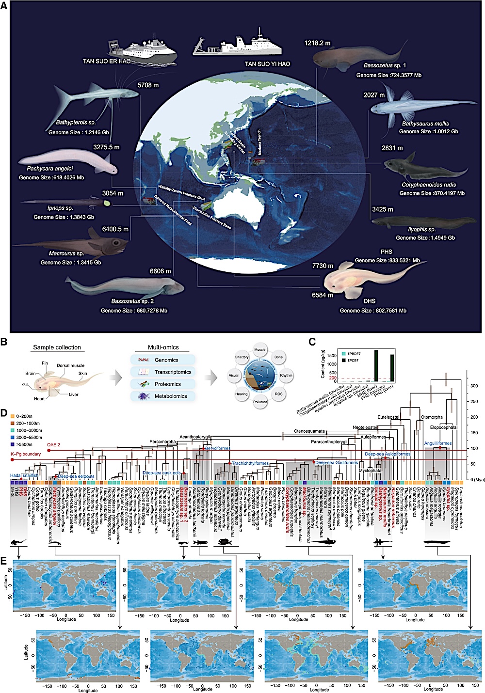 Ocean Planet Biodiversity Genomics - Astrobiology
