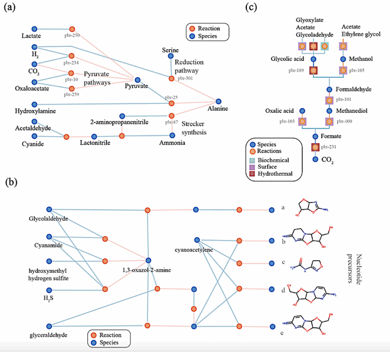 ChemOrigins: A Community Curated Database For Origins Of Life Chemistry ...