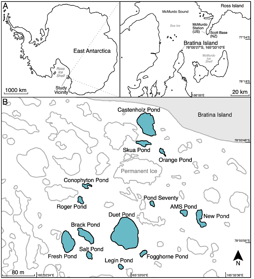 During Snowball Earth Early Life May Have Sheltered In Meltwater Ponds ...