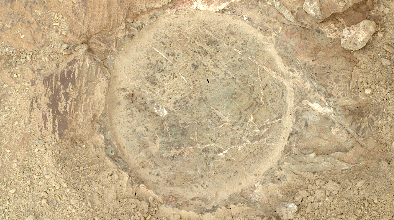 Mars Perseverance Rover Abrasion Spots - Astrobiology