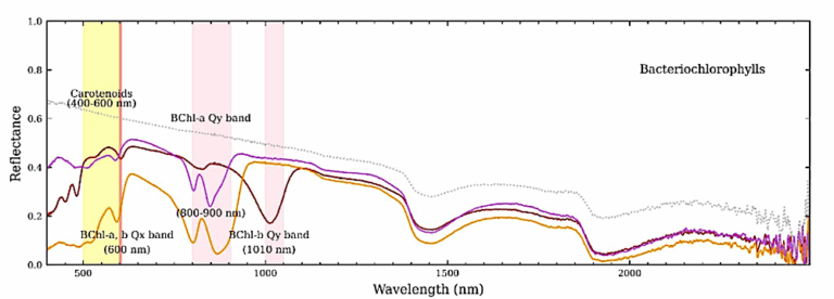 Habitable Worlds Observatory Living Worlds Working Group: Surface ...