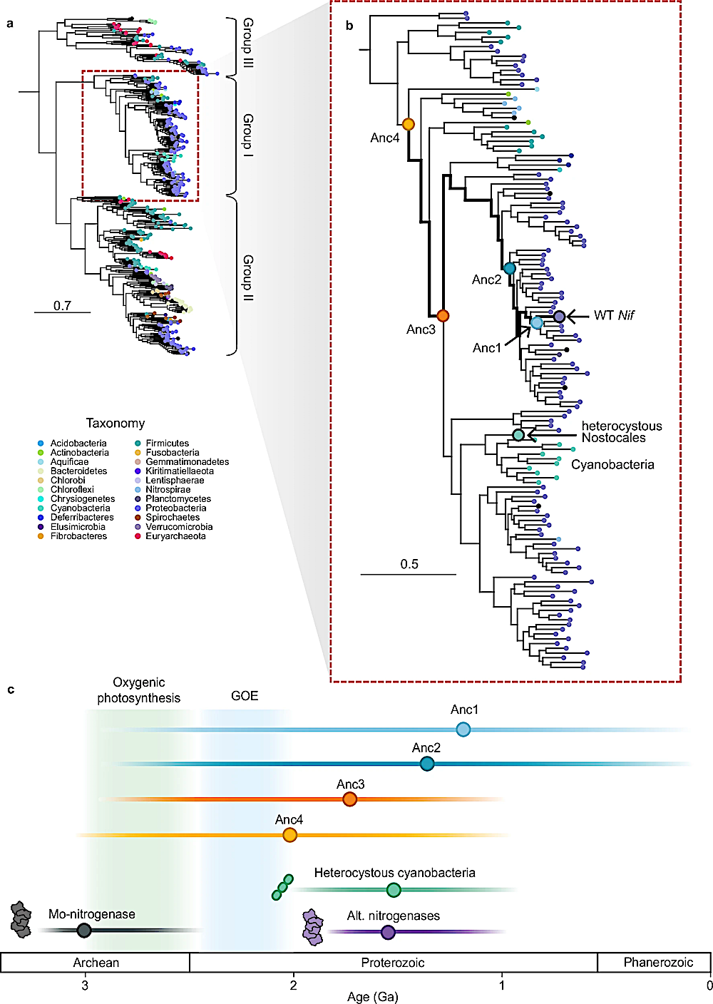 Resurrected Ancient Enzyme Offers New Window Into Early Earth And The ...