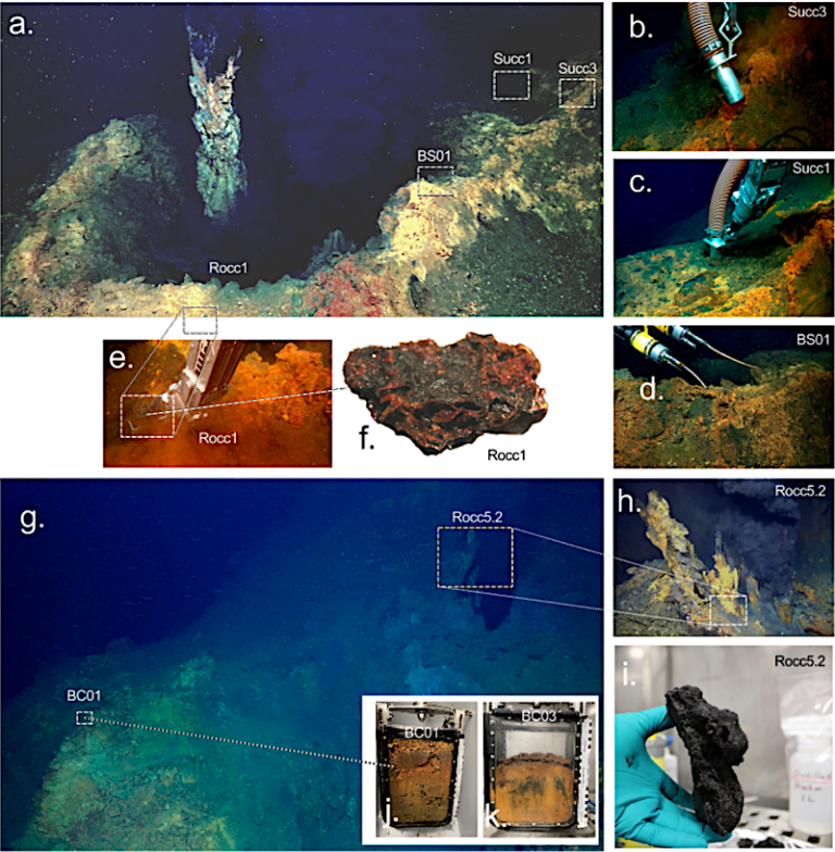 Aurora Vent Field Is A Hotspot For Microbial Hydrogen Oxidation In The ...