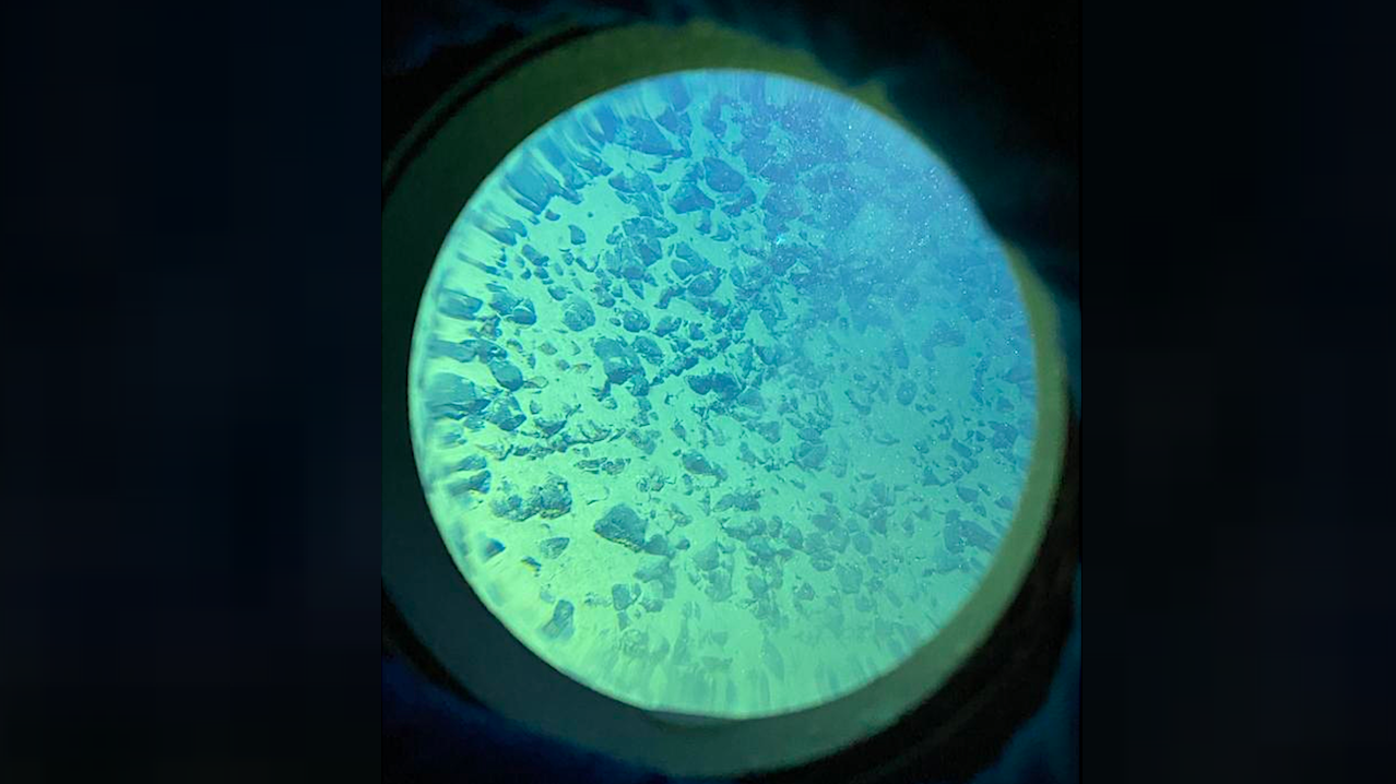 The Deep Sea Is An Untapped Evolutionary Engine Says New Study ...